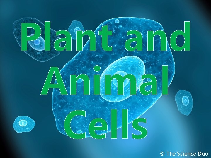 Plant and Animal Cells The Science Duo Cell