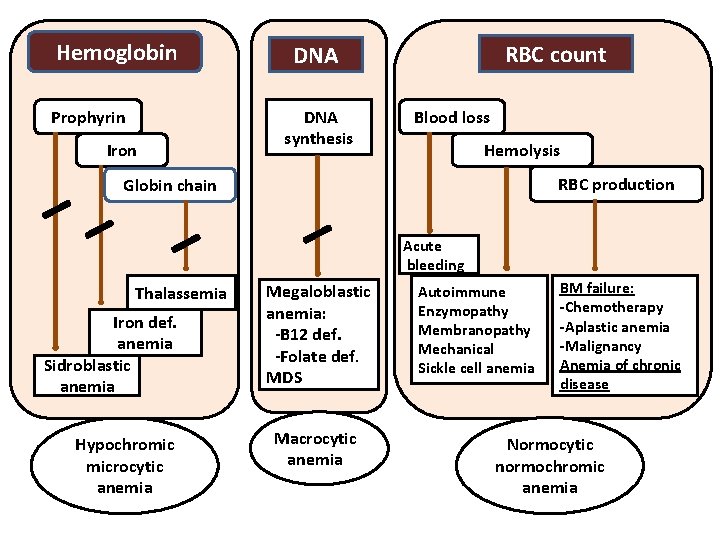 ANEMIA Dr Mansour Aljabry Head of Flow cytometry