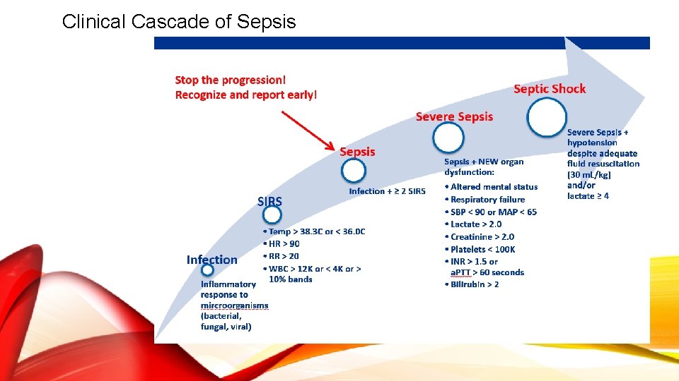 SEPSIS WHY THE BIG DEAL Katie Schatz ARNP