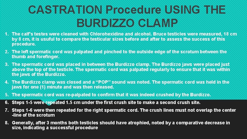 CASTRATION Procedure USING THE BURDIZZO CLAMP 1 The