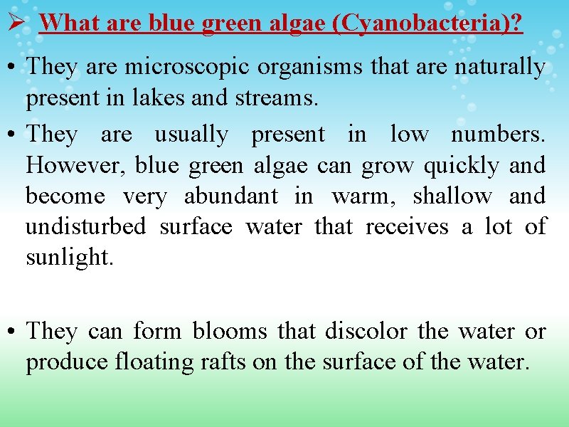 Algal Blooms and its toxins Christine Trinh Definition