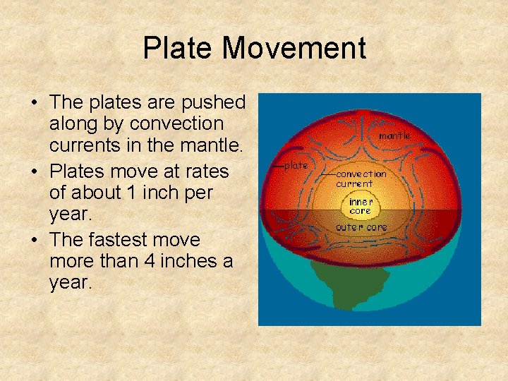 Plate Tectonics Theory that the Earths crust is