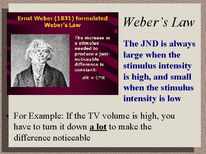What are the specific sensory thresholds our bodies