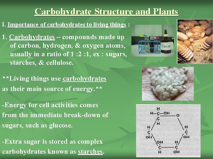 Carbohydrate Structure and Plants I Importance of carbohydrates