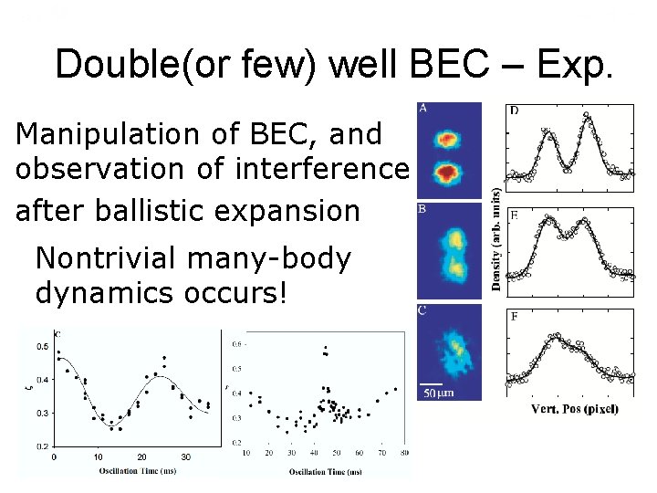 Atomic BEC in microtraps Squeezing visibility in interferometry