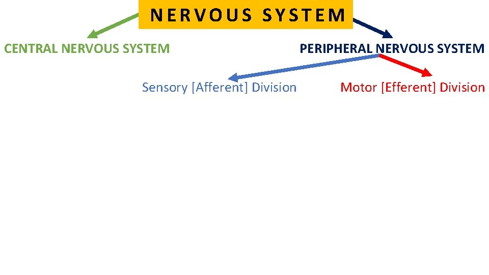 2015 Best Practices in Social Studies Institute June