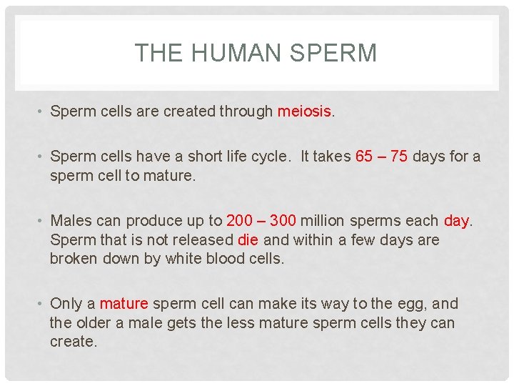 HUMAN REPRODUCTION MALE REPRODUCTION SYSTEMS MALE SEXUAL CHARACTERISTICS
