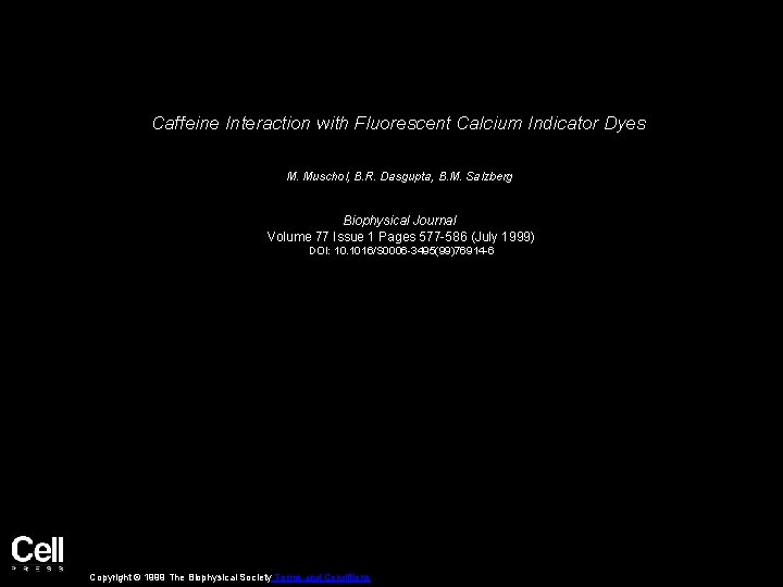 Caffeine Interaction with Fluorescent Calcium Indicator Dyes M