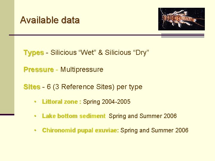 Macroinvertebrates Available data Types Silicious Wet Silicious Dry