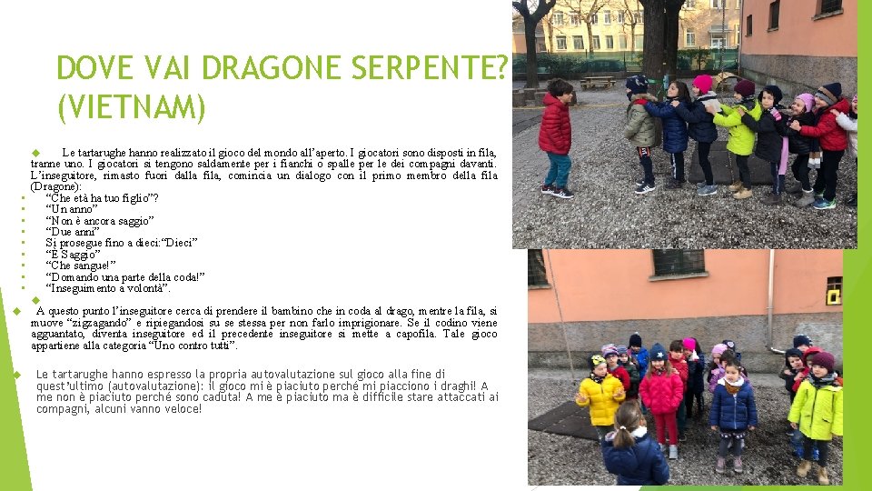 DOVE VAI DRAGONE SERPENTE VIETNAM Le tartarughe hanno