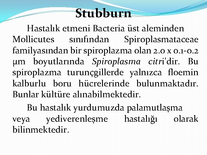 TURUNGL VRAL VE BAKTERYEL HASTALIKLARI Stubburn Hastalk etmeni