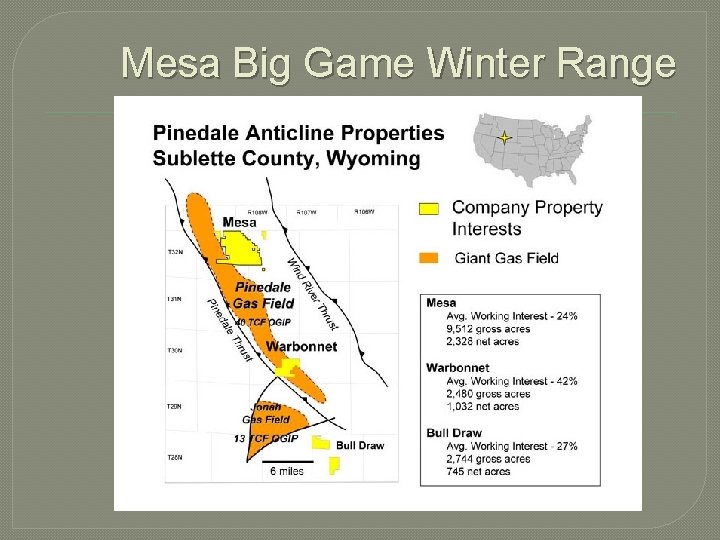 Mule Deer on the Mesa Big Game Winter