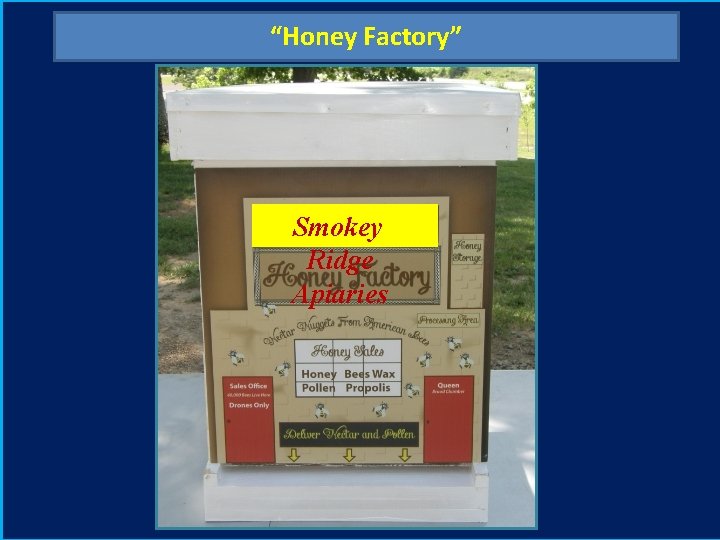 Marketing Honey Coley ODell Smokey Ridge Apiaries Maryville