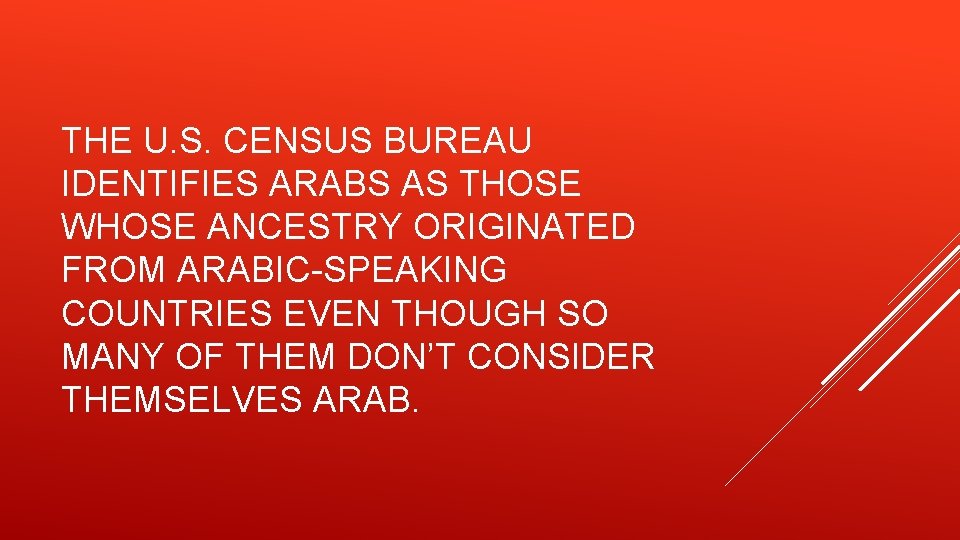 UNDERSTANDING THE ARAB AMERICAN PEOPLE THEIR ORIGINS AND