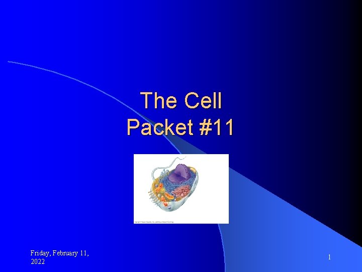 The Cell Packet 11 Friday February 11 2022