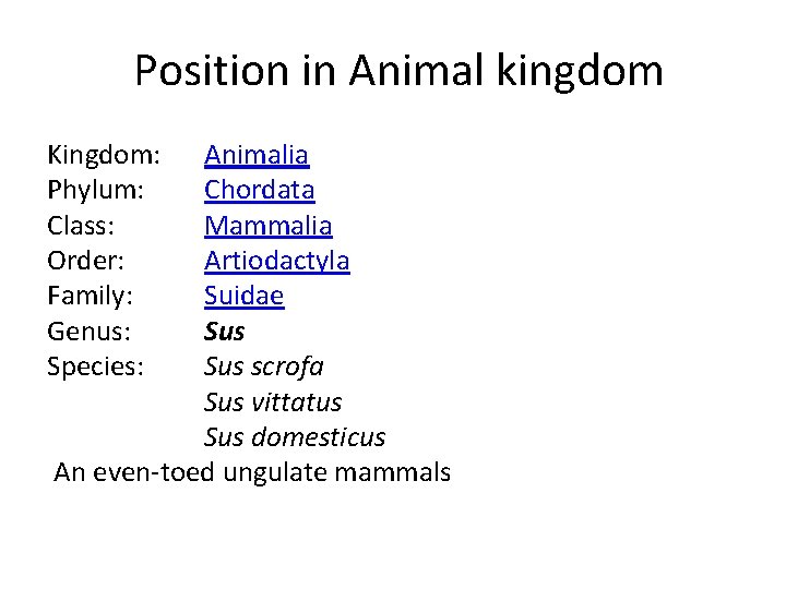 Introduction Pig is one of the most efficient