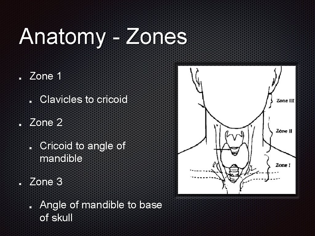 Penetrating Neck Injuries Registrar Teaching Nick Bull Structure
