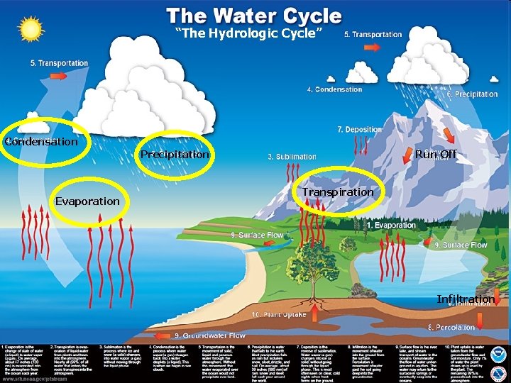Lecture 7 Water in the Atmosphere Dew and