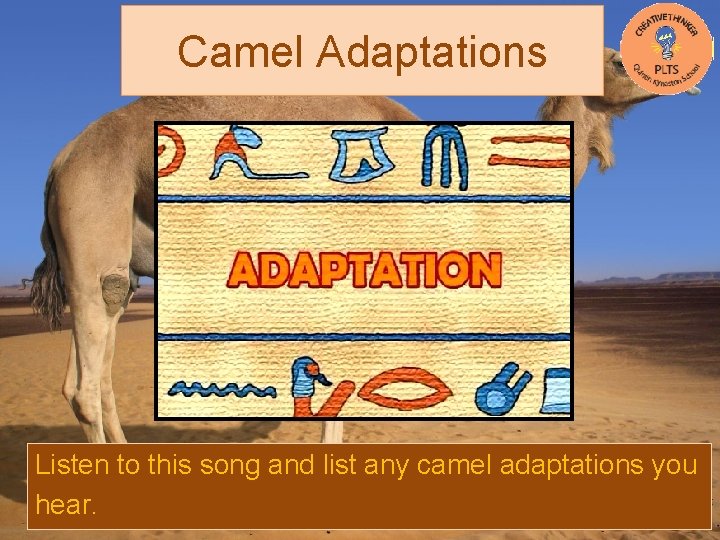 11022022 Adaptations Aim I can explain the adaptations