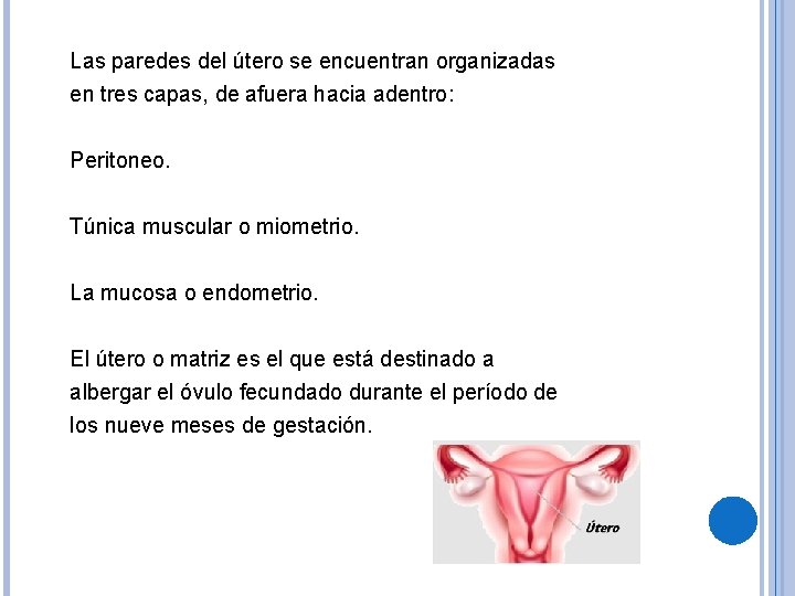SISTEMA REPRODUCTOR MASCULINO Y FEMENINO EN EL SER