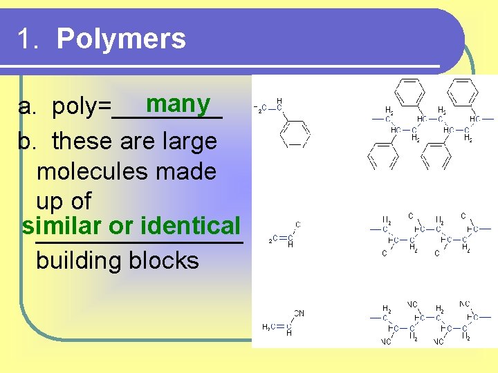 Unit 2 Biomolecules pp 44 47 QUIZ block