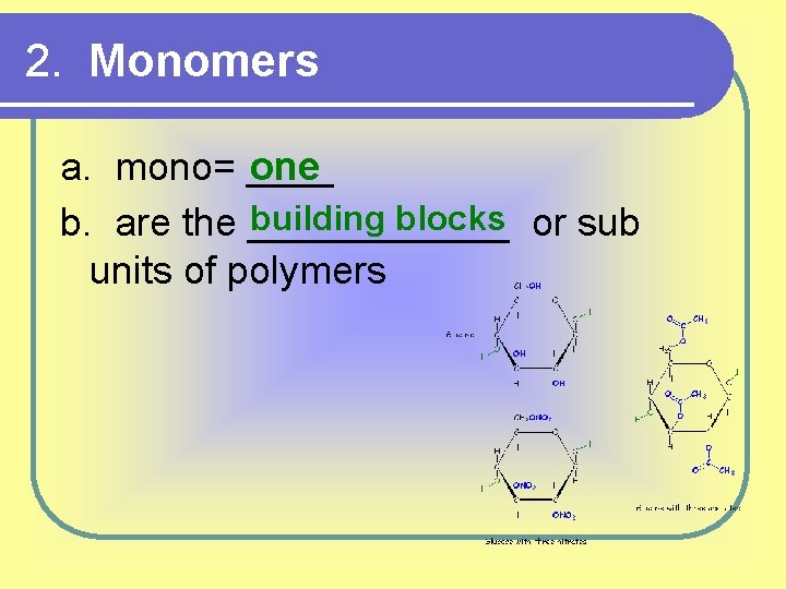 Unit 2 Biomolecules pp 44 47 QUIZ block