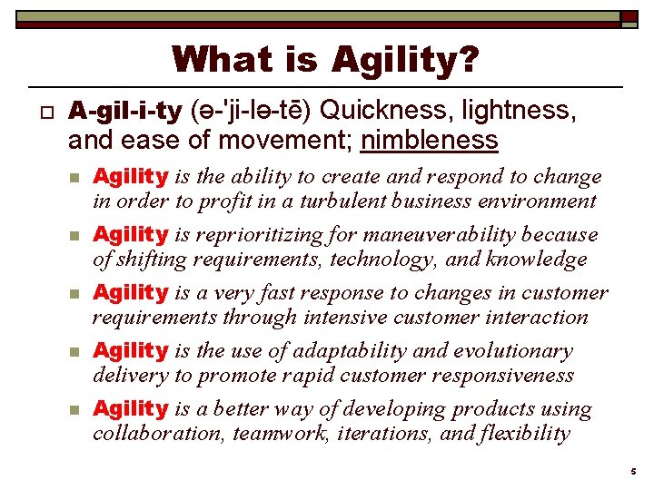 Business Value of Agile Methods Using Return on
