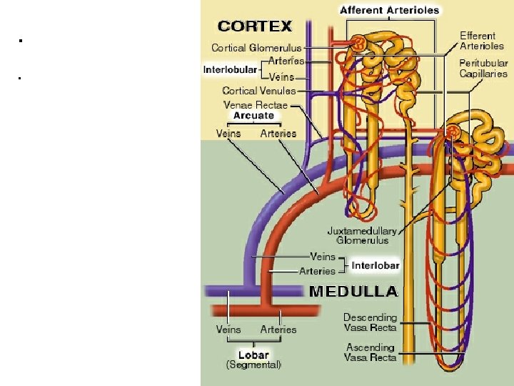 PERKEMIHAN OLEH Dr Moh Natsir M Abdul SISTIM