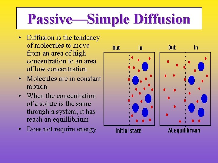Cell Transport How different substances get into and