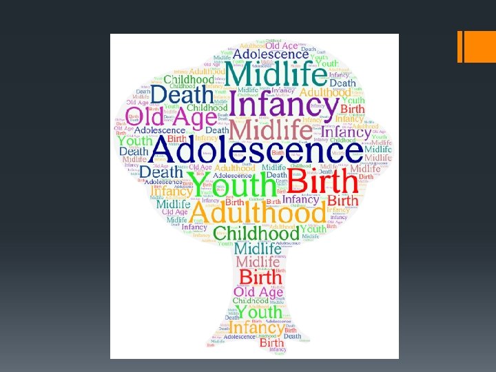 STAGES in LIFE Language Vocabulary related to childhood
