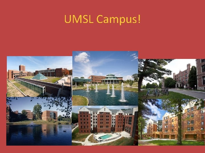 University of Missouri St Louis By Lindsay Wilson
