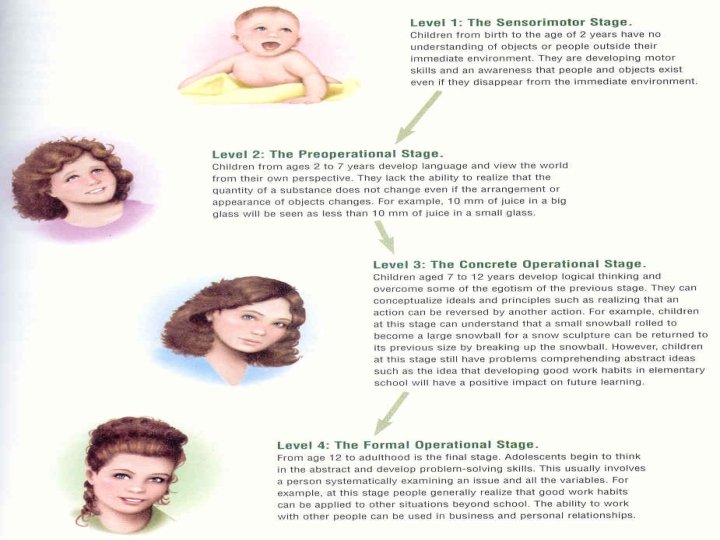 Development Theories Freuds Stages of Psychosexual Development Freuds