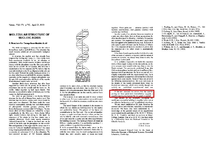 La struttura chimica del DNA Componenti chimici degli