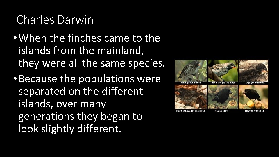 Natural Selection and Adaptations Charles Darwin Born February
