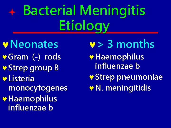 Bacterial Meningitis A Medical Emergency Swartz MN N