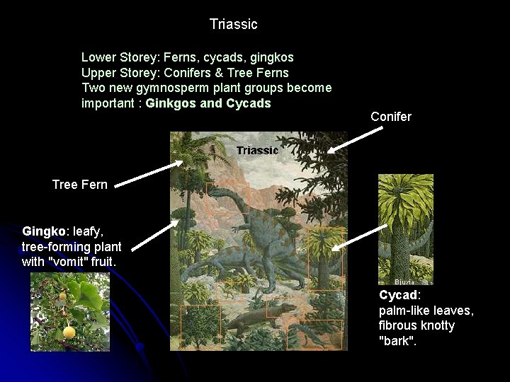 Why Flowers Are Beautiful An Example of Coevolution