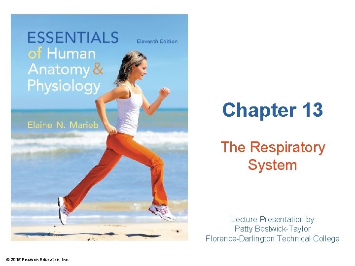 Chapter 13 The Respiratory System Lecture Presentation by