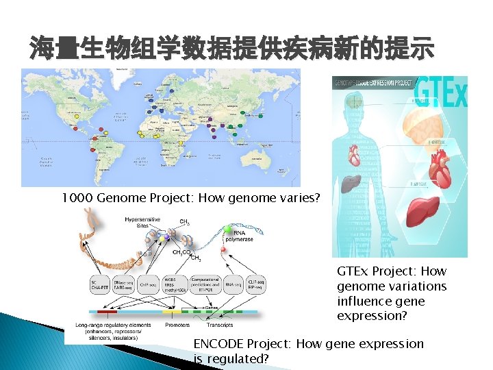 1000 Genome Project How genome varies GTEx Project