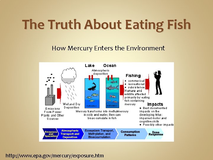 The Truth About Eating Fish Presenter Jannel Albury
