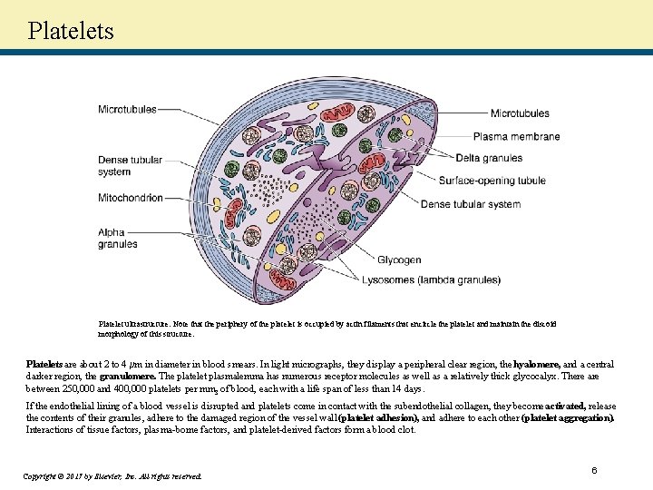 Chapter 10 Blood and Hemopoiesis Textbook of Histology