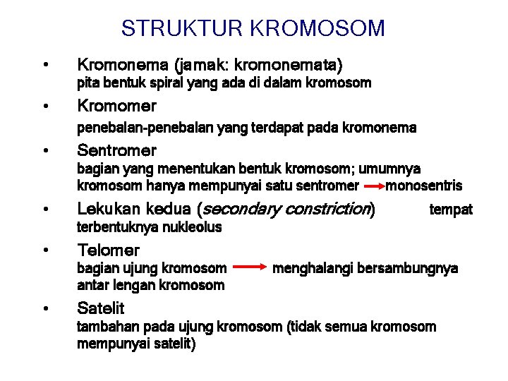STRUKTUR KROMOSOM Kromonema jamak kromonemata pita bentuk spiral