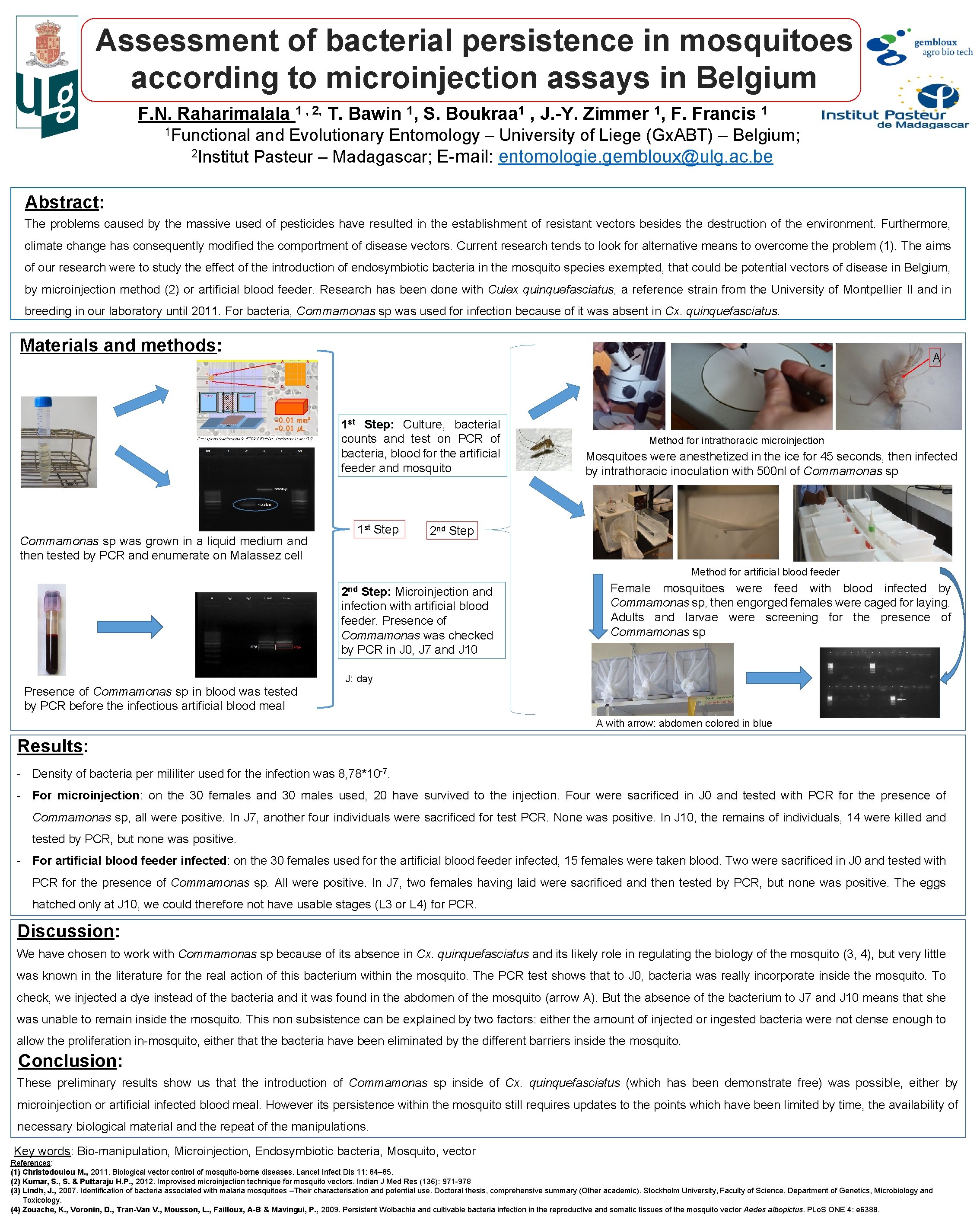 Assessment of bacterial persistence in mosquitoes according to