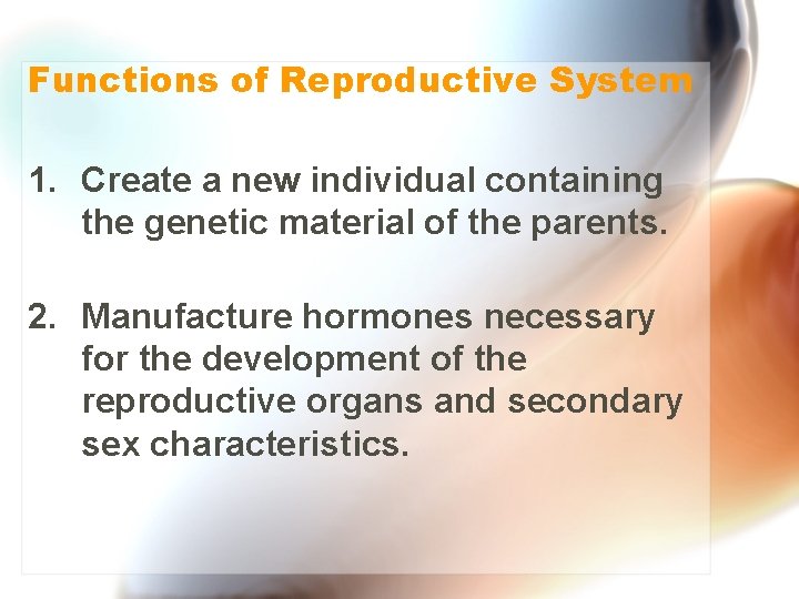 Reproductive System Functions of Reproductive System 1 Create