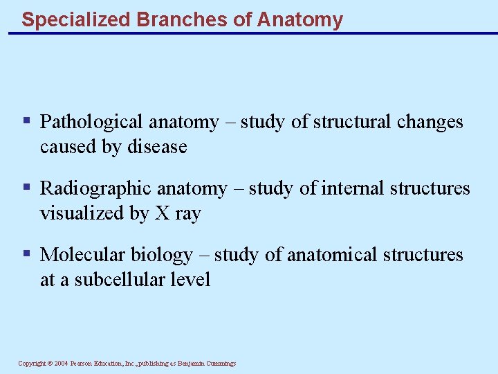Power Point Lecture Slides prepared by Vince Austin
