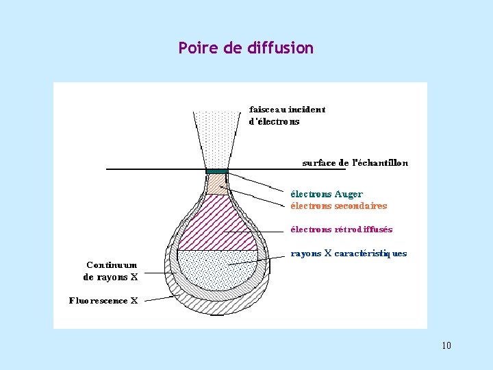 LA MICROSCOPIE OPTIQUE SUITE 1 1 La microscopie