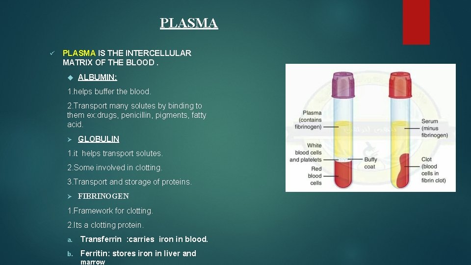 CIRCULATORY SYSTEM SUBJECT ANATOMY AND PHYSIOLOGY BY GOWRI