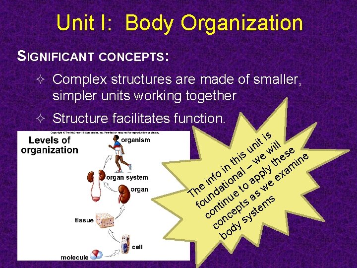 Anatomy and Physiology 2019 2020 Mrs Tsimberg Ill