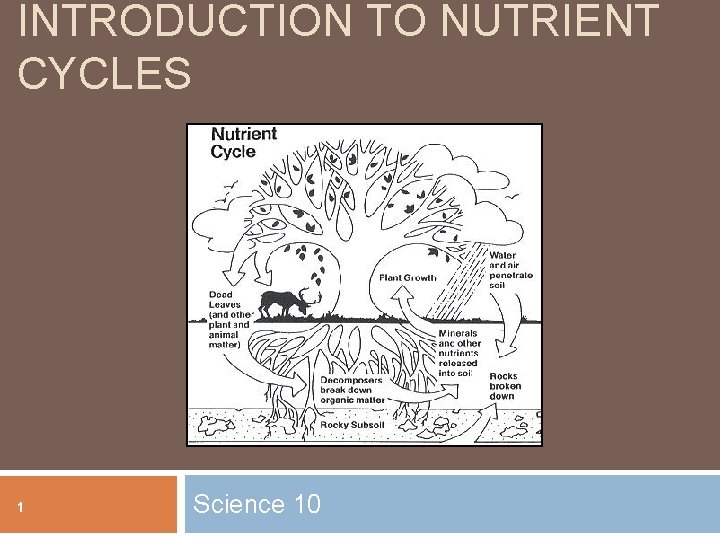 INTRODUCTION TO NUTRIENT CYCLES 1 Science 10 Introduction