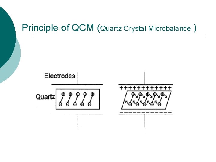 A MINIATURISED INTEGRATED QCMBASED ELECTRONIC NOSE MICROSYSTEM Thomas