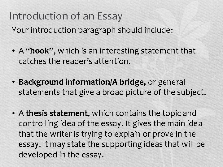 essay-writing-topic-supporting-and-concluding-sentences-paragraph